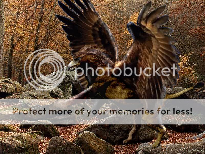 Gryffin Photo by dracontologe | Photobucket