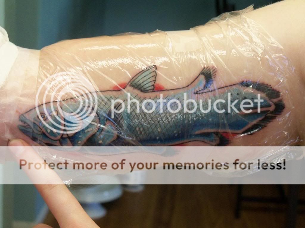 180 best Evolution Tattoo images on Pholder | Tattoos, Tattoo and ...